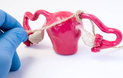 Tuba Falopi Tersumbat: Gejala, Penyebab dan Cara Mengatasinya - EKA ...