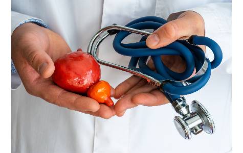 Mengenal Biopsi Prostat: Definisi, Tujuan Prosedur hingga Bagaimana ...